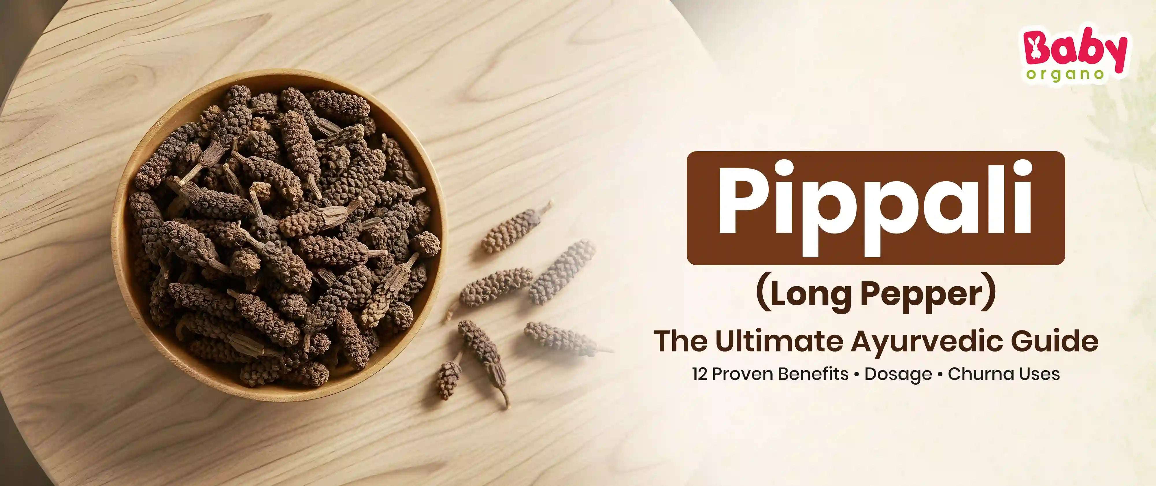 Pippali (Long Pepper): Benefits, Churna, Plant, Uses & Complete ...